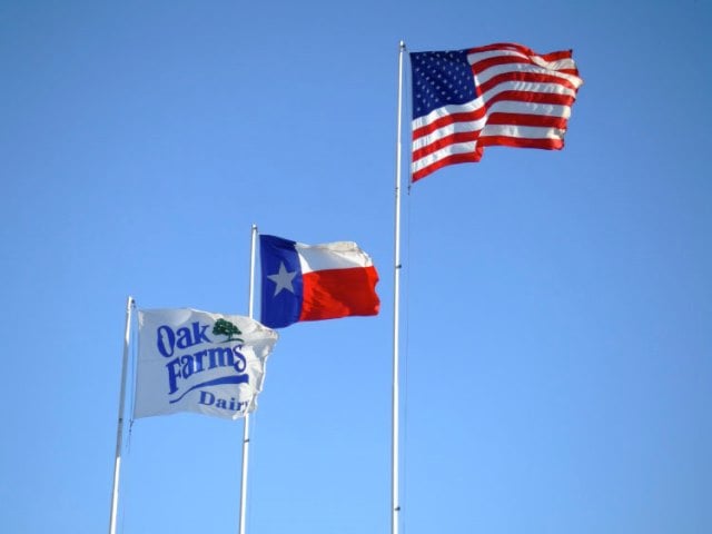 DIXIE FLAG & BANNER COMPANY - Updated April 2024 - 59 Photos - 1930 N ...