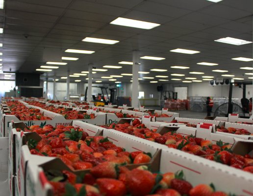 ABLE FREIGHT SERVICES - Updated December 2025 - 5510 W 102nd St, Los ...