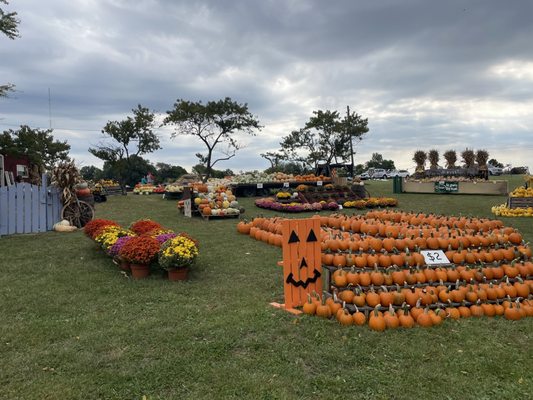 MINK AND WALTERS PUMPKIN PATCH - Updated January 2026 - 61 Photos ...