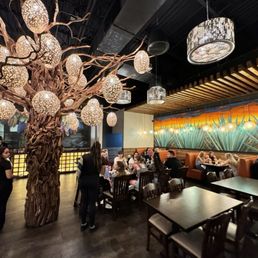 AZTECA D’ORO WESLEY CHAPEL - Updated March 2025 - 239 Photos & 138 ...