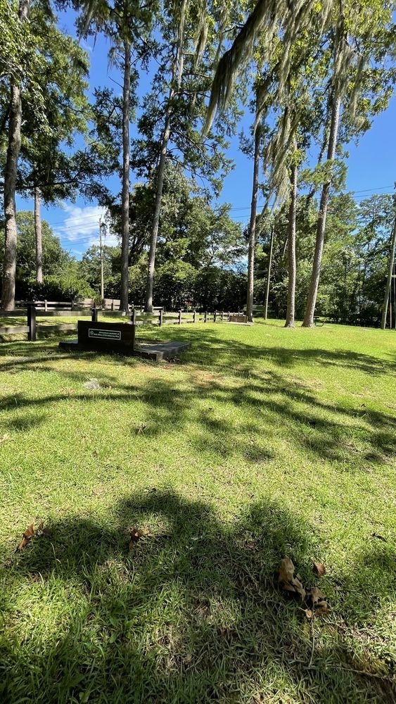 SHAMROCK SOUTH PARK - Updated June 2025 - 3045 Shamrock St S ...