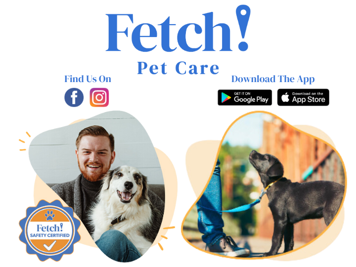 FETCH PET CARE - DETROIT - Detroit, Michigan - Pet Sitting - Phone ...