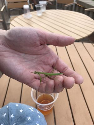 The Rock Sports Complex - 50 Photos & 28 Reviews - Recreation Centers ...