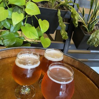 ALTAMONT BEER WORKS - Updated July 2024 - 501 Photos & 297 Reviews ...