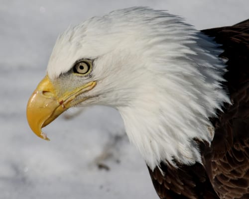 Friendship, WI Map & Directions - MapQuest