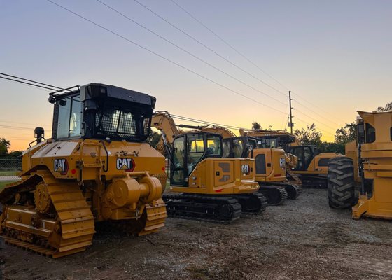 LOUISIANA CAT - Updated December 2025 - 24 Photos - 5315 Broad St, Lake ...