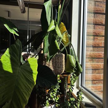 HELLO DARLING - Updated July 2025 - 182 Photos & 91 Reviews - 1610 ...