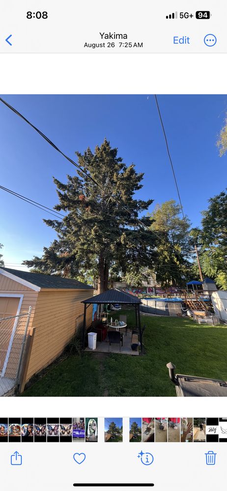 NORTHWEST ARBOR - Updated August 2025 - 15 Photos - 1505 University ...