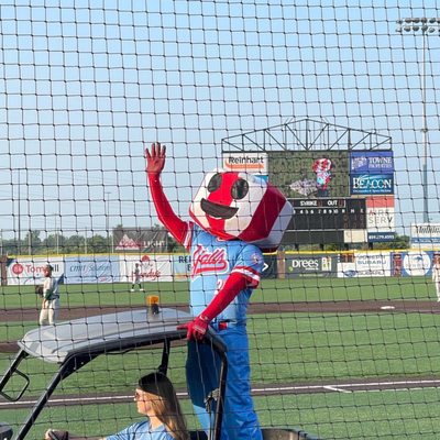 Florence Freedom - Trusted Since 1969 - Updated July 2025 - 21 Photos ...