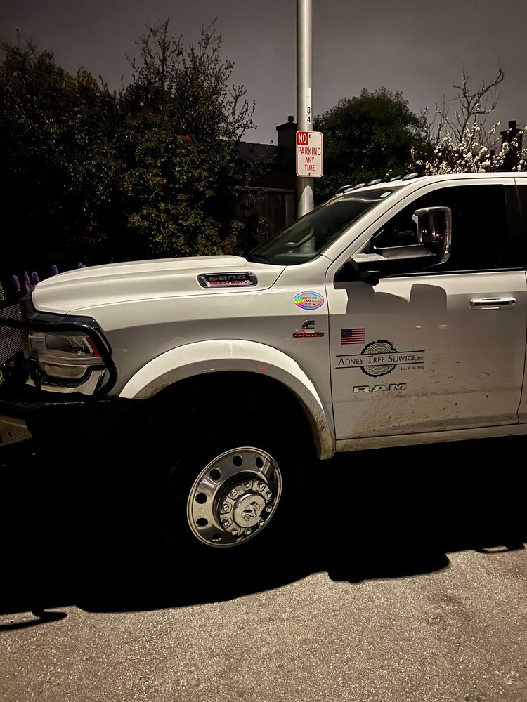 ADNEY TREE SERVICE - Updated December 2025 - 25 Reviews - Soquel ...