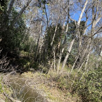 CUPERTINO MCCLELLAN RANCH PRESERVE - Updated November 2024 - 124 Photos ...