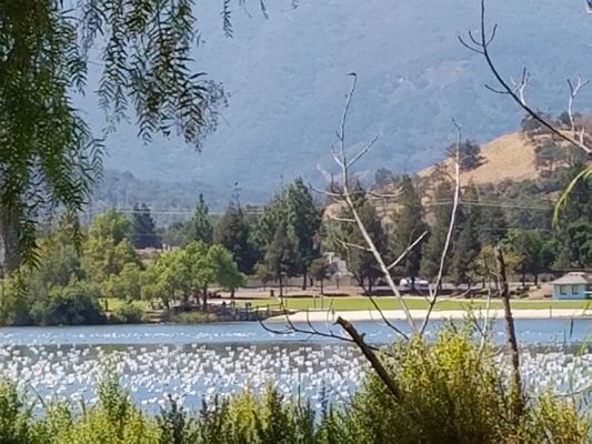 ALMADEN VALLEY - Updated July 2024 - 15 Photos - San Jose, California ...