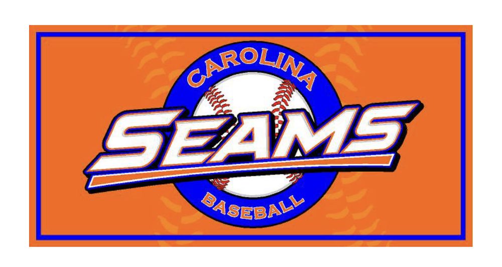 CAROLINA SEAMS TRAINING - Updated July 2025 - 121 Extended Ln, Anderson ...