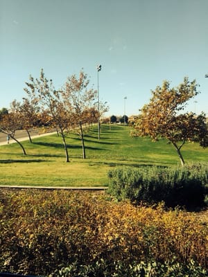 ORANGE TERRACE LIBRARY - Updated September 2025 - 16 Photos & 12 ...