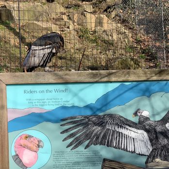 BRANDYWINE ZOO - Updated July 2024 - 125 Photos & 61 Reviews - 1001 N ...