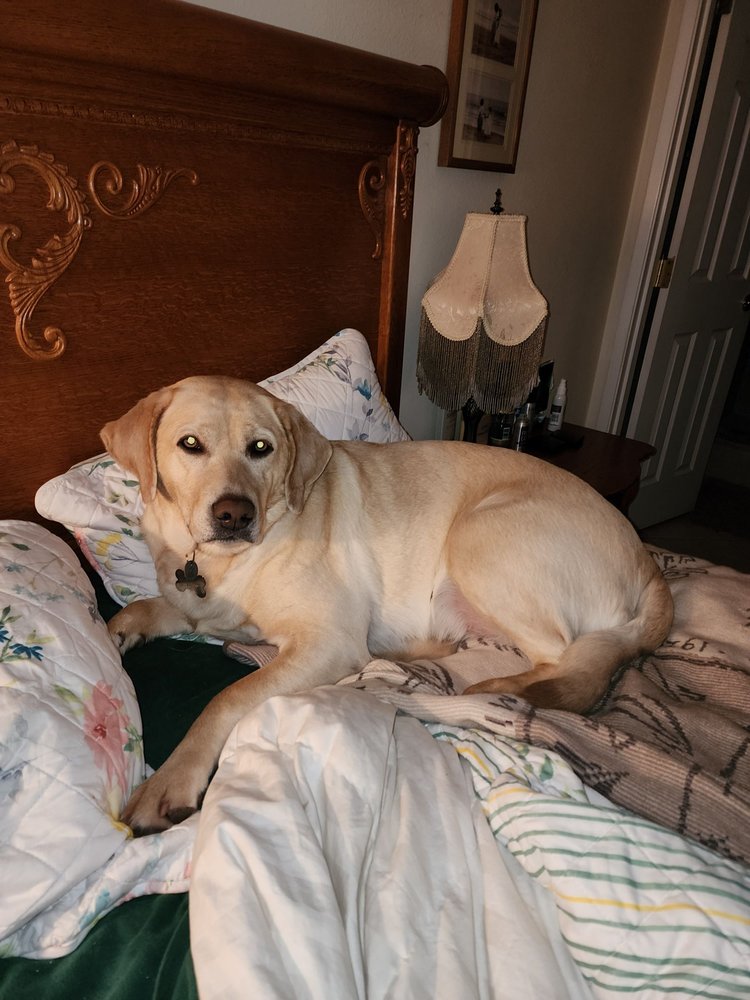 CASCADE PEST CONTROL - Updated January 2026 - 30 Photos & 109 Verified ...