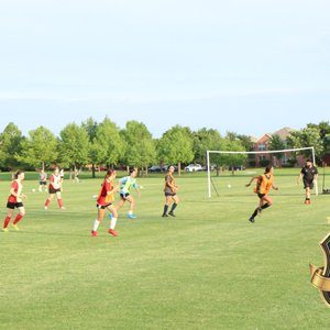 SLICK CITY ACTION PARK - COMING SOON - Updated July 2025 - 10 Photos ...