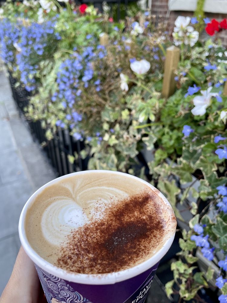 JAVA REPUBLIC - Updated July 2025 - 16 Photos - Dawson Street, Dublin ...