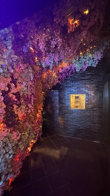 CONEJO MALO - Updated May 2026 - 19 Photos & 13 Reviews - 901 Commerce ...