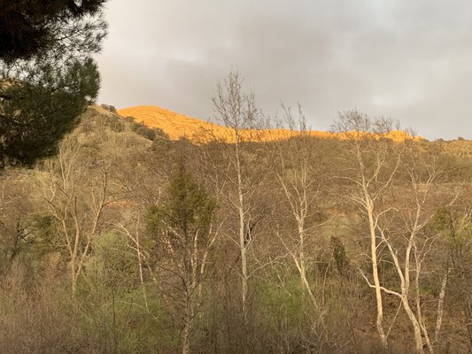 SEQUOIA RV RANCH - Updated March 2025 - 132 Photos & 107 Reviews ...