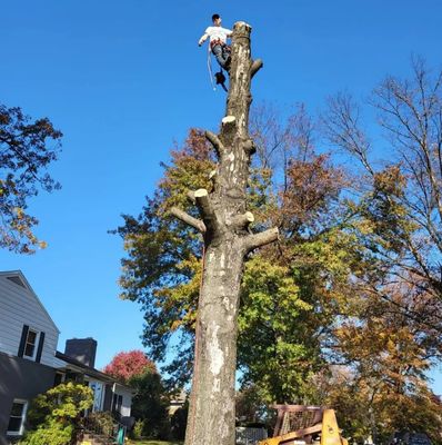 H&S TREE SERVICE - Updated October 2025 - 22 Photos - Hanover ...