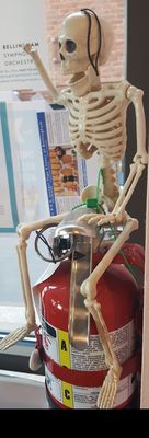 CAFE BLUE - 94 Photos & 38 Reviews - 1319 11th St, Bellingham ...