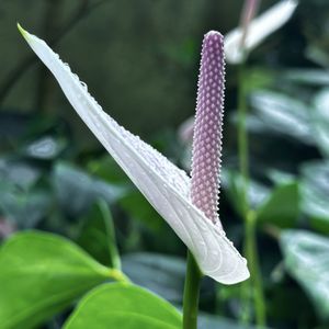 GEEKS MANIA - Updated December 2025 - 90 Photos & 86 Reviews - 6502 ...