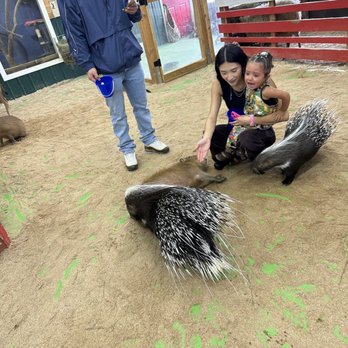 DEBBIE DOLITTLE’S PETTING ZOO - Updated July 2025 - 419 Photos & 203 ...