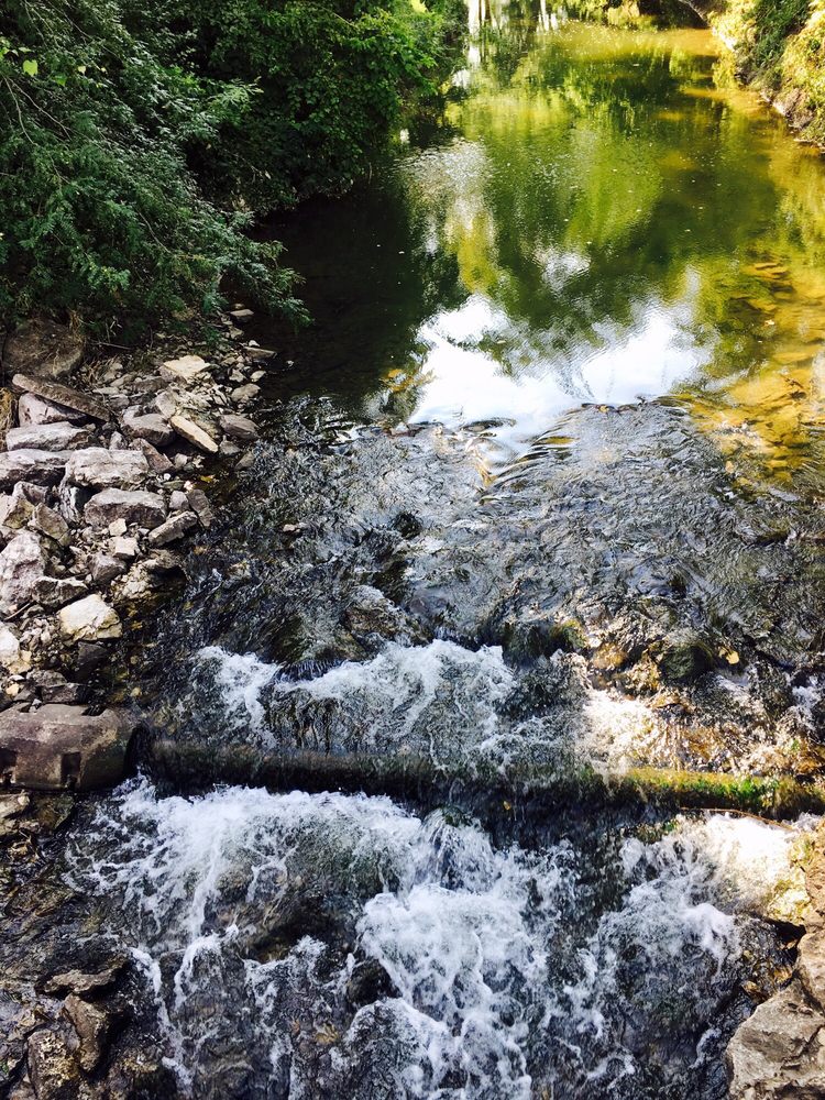 SULLIVAN NATURE SANCTUARY - Updated April 2024 - 8880 Clark Ave ...