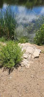 FAIN PARK - Updated September 2025 - 73 Photos & 14 Reviews - 2205 N ...