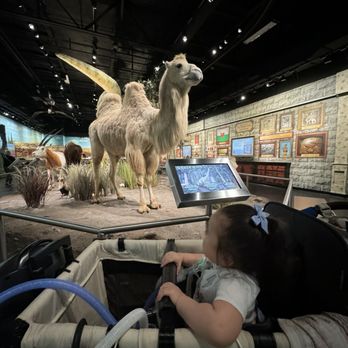 ICR DISCOVERY CENTER - Updated October 2025 - 60 Photos & 24 Reviews ...