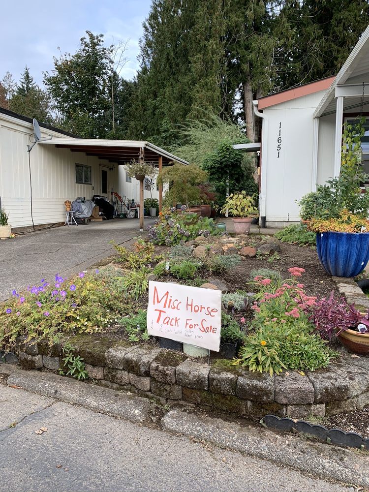 CAL AM PROPERTIES - Updated December 2025 - 31 Photos - 385 Clinton St ...