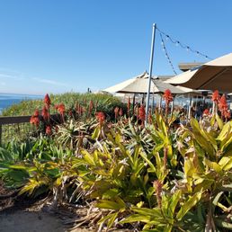 NELSON’S - Updated January 2025 - 2071 Photos & 1461 Reviews - 100 ...