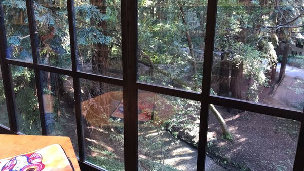 MILL VALLEY PUBLIC LIBRARY - 37 Photos & 63 Reviews - 375 Throckmorton ...