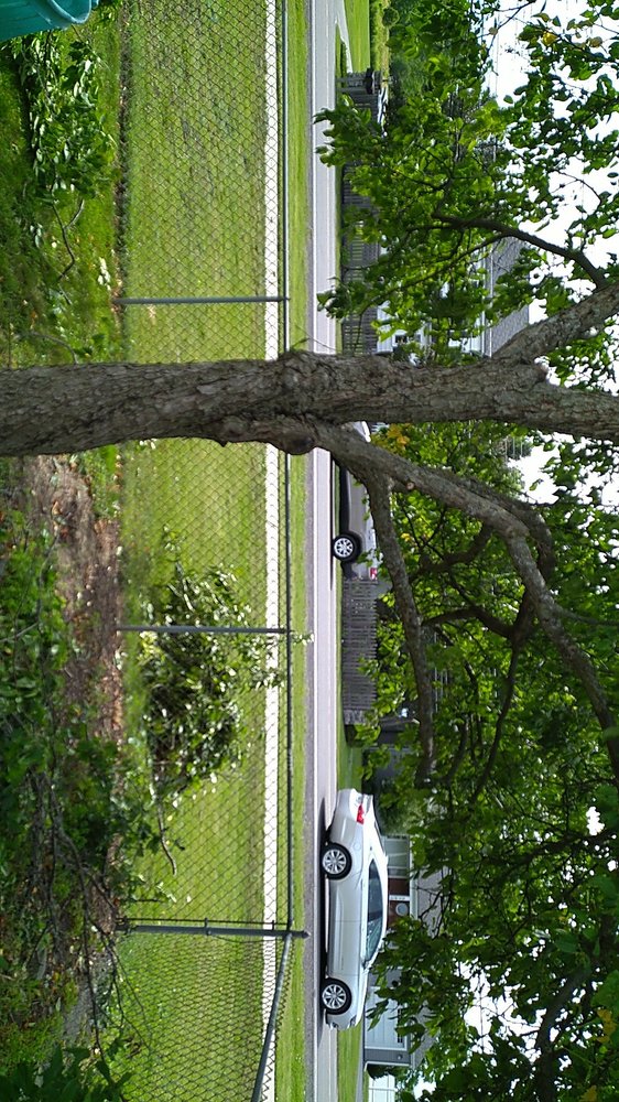 TREE PEOPLE 360 - Updated August 2025 - Request a Quote - 135 Photos ...