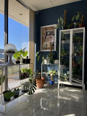 FIREPROOF COFFEE - Updated January 2026 - 426 Photos & 238 Reviews ...