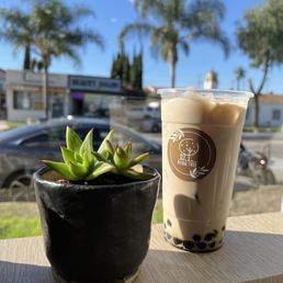 BOBA TREE - Updated October 2025 - 117 Photos & 53 Reviews - 8934 State ...