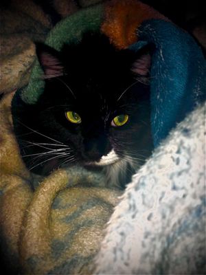 SCIENCE AND MATH INSTITUTE - Updated December 2025 - 5502 Five Mile Dr ...