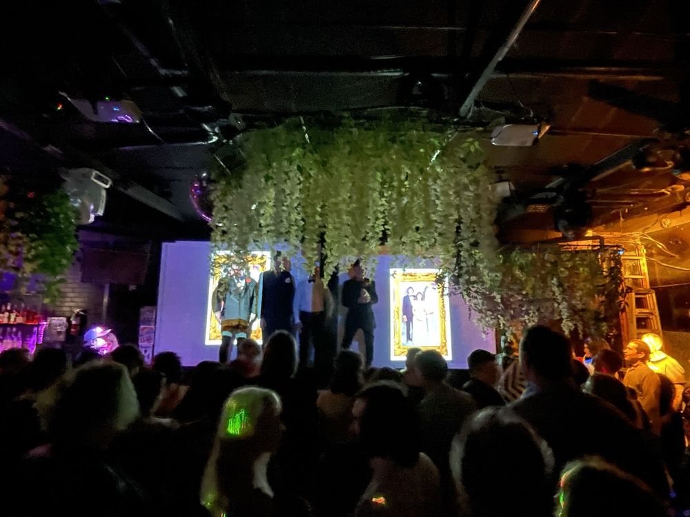 CAT CLUB - Updated December 2025 - 1761 Photos & 501 Reviews - 1190 ...