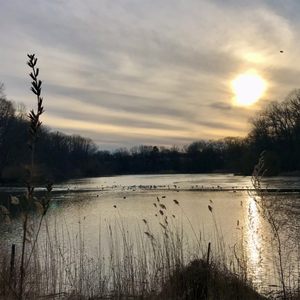 ALLEY POND ADVENTURE COURSE - Updated June 2025 - 14 Photos & 13 ...