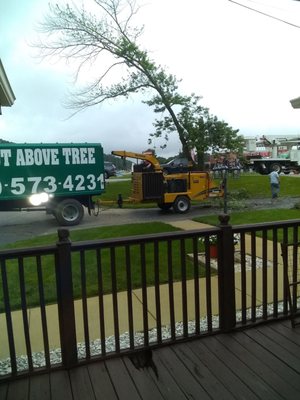 A CUT ABOVE TREE SERVICE - Updated October 2025 - 32 Photos - 600 S ...