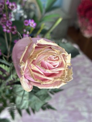 RUTH’S ROSES - Updated November 2025 - 92 Photos & 209 Reviews - 848 N ...