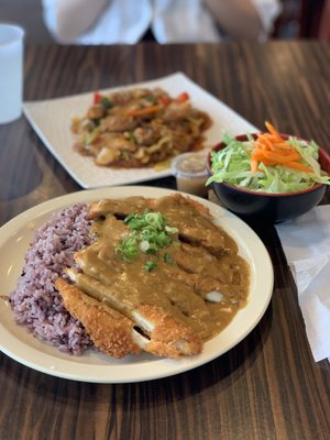 BENTO KITCHEN CRAVINGS - 214 Photos & 63 Reviews 【310 N Clippert St ...