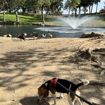 TEWINKLE PARK - Updated September 2025 - 447 Photos & 125 Reviews - 970 ...