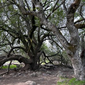 RAGLE RANCH REGIONAL PARK - 52 Photos & 44 Reviews - 500 Ragle Rd ...