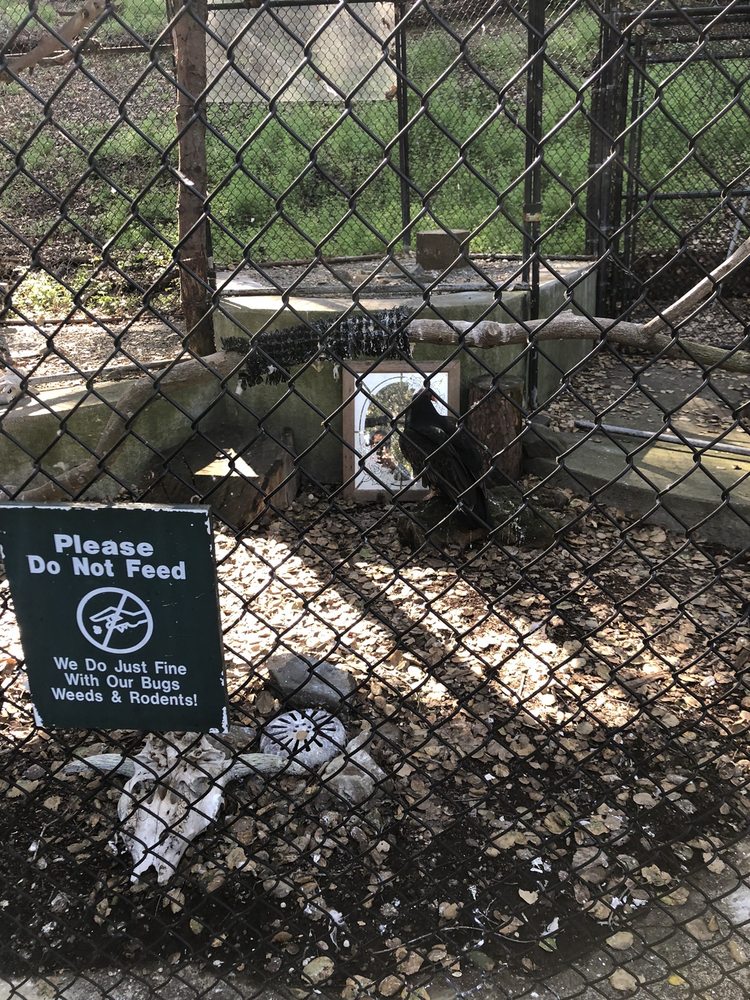 SULPHUR CREEK NATURE CENTER - 165 Photos & 105 Reviews - 1801 D St ...