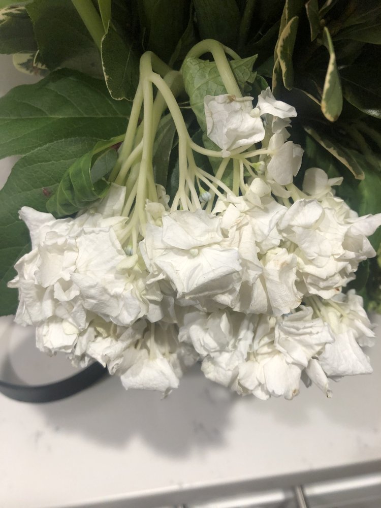 FLORAL HEIGHTS - Updated December 2025 - 37 Photos & 45 Reviews - 107 ...