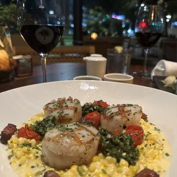 BALBOA SURF CLUB - Updated January 2025 - 334 Photos & 131 Reviews ...