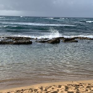 PIÑONES - 120 Photos & 58 Reviews - Local Flavor - Campamento Piñones ...