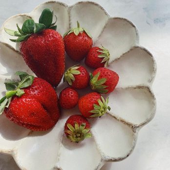 CHINO FARM - Updated July 2025 - 98 Photos & 160 Reviews - 6123 Calzada ...